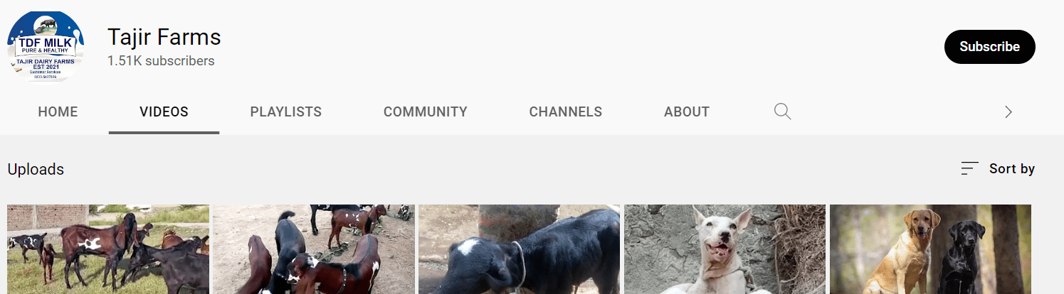 Learn Interesting Facts About Farm Life And Animals On This Youtube ...